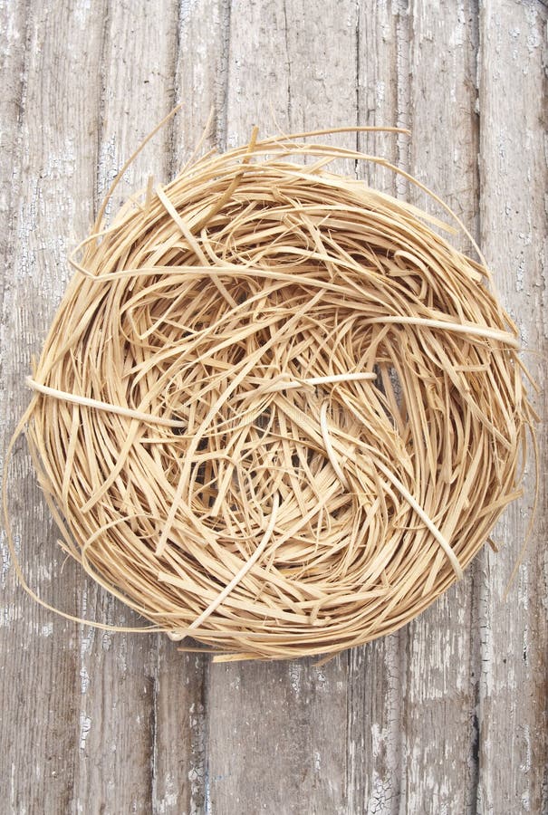 Empty Nest stock photo. Image of conceptual, symbol, shutter - 16581348