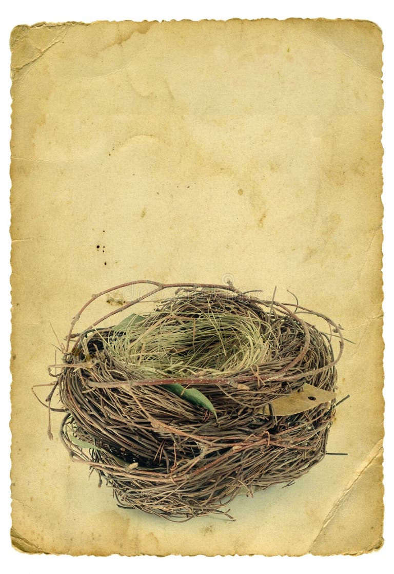 44,017 Nest Texture Stock Photos - Free & Royalty-Free Stock Photos ...