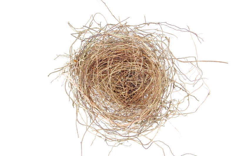 Empty Nest Picture. Image: 5447805