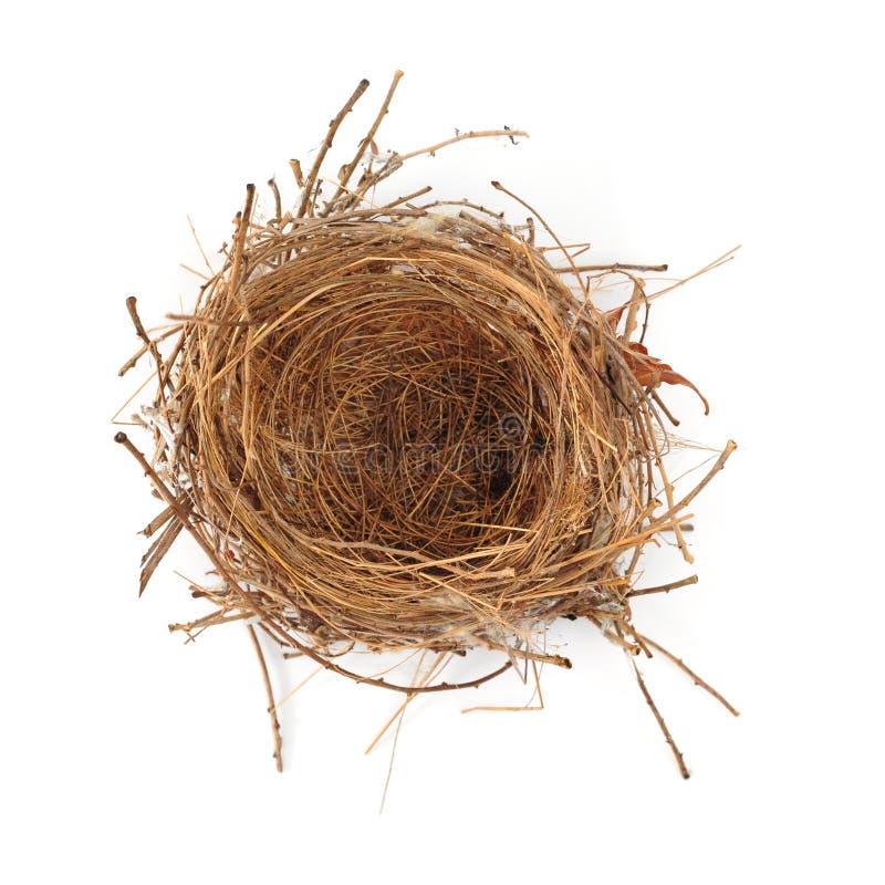 Empty Nest stock image. Image of isolated, nest, absence - 30782121