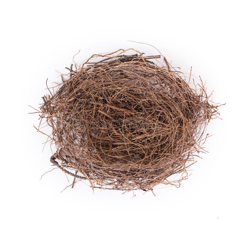 Empty nest stock image. Image of natural, empty, card - 89203115