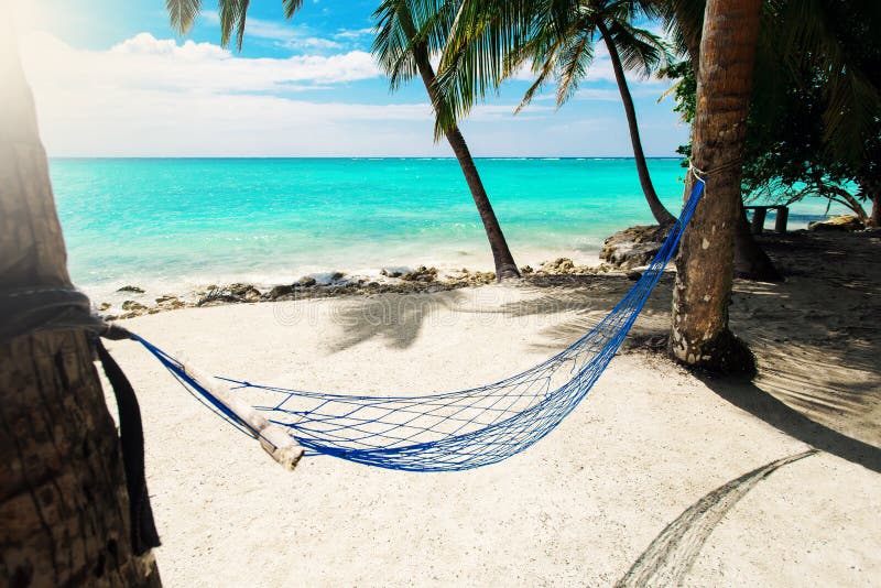 Empty Net Hammock at Tropical Beach Resort Stock Photo - Image of ...