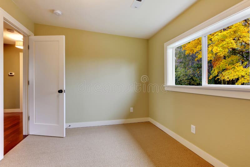 Empty New Green Room with Beige Carpet. Stock Image - Image of hardwood ...