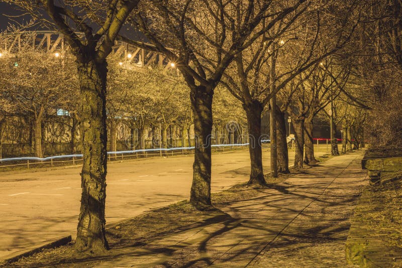 Empty night alley stock image. Image of landscape, tree - 111035625