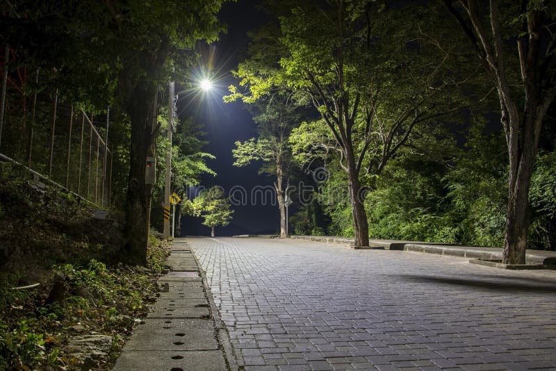 Empty night road stock photo. Image of lighting, darkness - 260876256