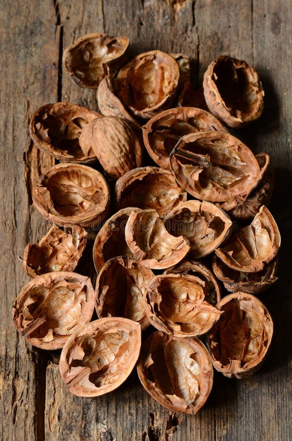 Empty nuts shells stock photo. Image of fresh, ingredient - 64869116