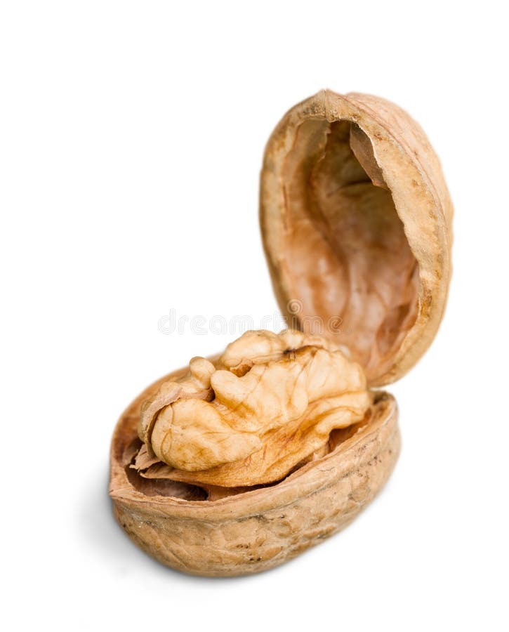 1,127 Empty Nutshell Stock Photos - Free & Royalty-Free Stock Photos ...