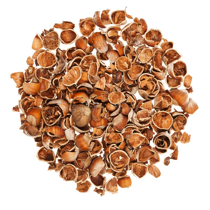 Empty Hazelnut Shells stock image. Image of shells, discard - 3103181