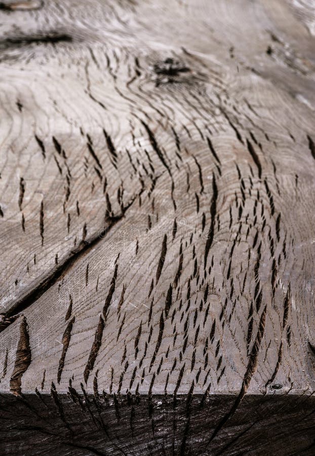 Empty Old Cracked Oak Board or Table. Close Up Shot of Wooden Texture ...