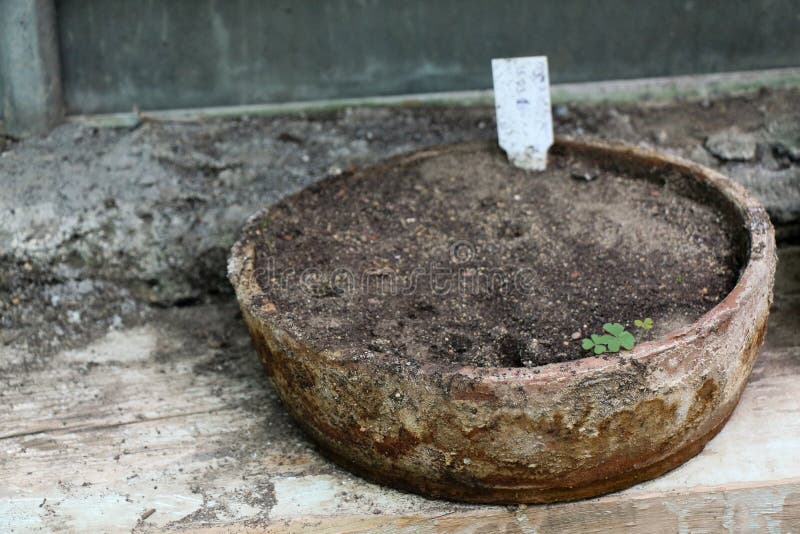 Empty Old Rustic Flower Pot Stock Image - Image of doll, container ...