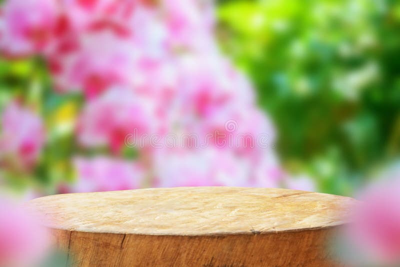 Empty Tree Stump Table Top with Blur Orchid Garden Background for ...