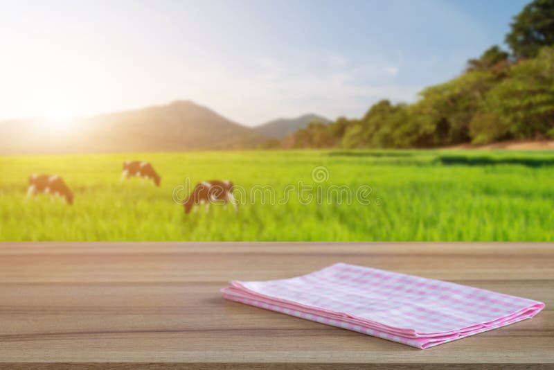 Pink Farm Spring Montage with Colorful Flowers and Light Wood Backdrop ...