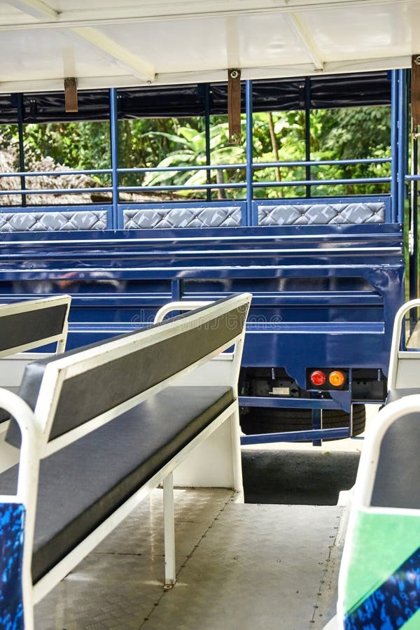 Jungle Safari Bus Stock Photos - Free & Royalty-Free Stock Photos from ...