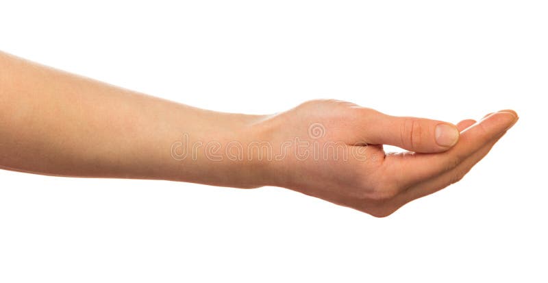 Empty open hand isolated stock photo. Image of giving - 63687068