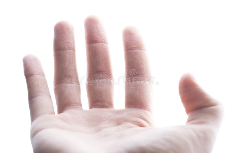 Empty Open Hand Stock Photos - Download 23,107 Royalty Free Photos