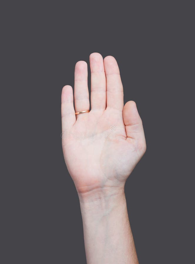 371 Empty Open Man Hand Grey Background Stock Photos - Free & Royalty ...