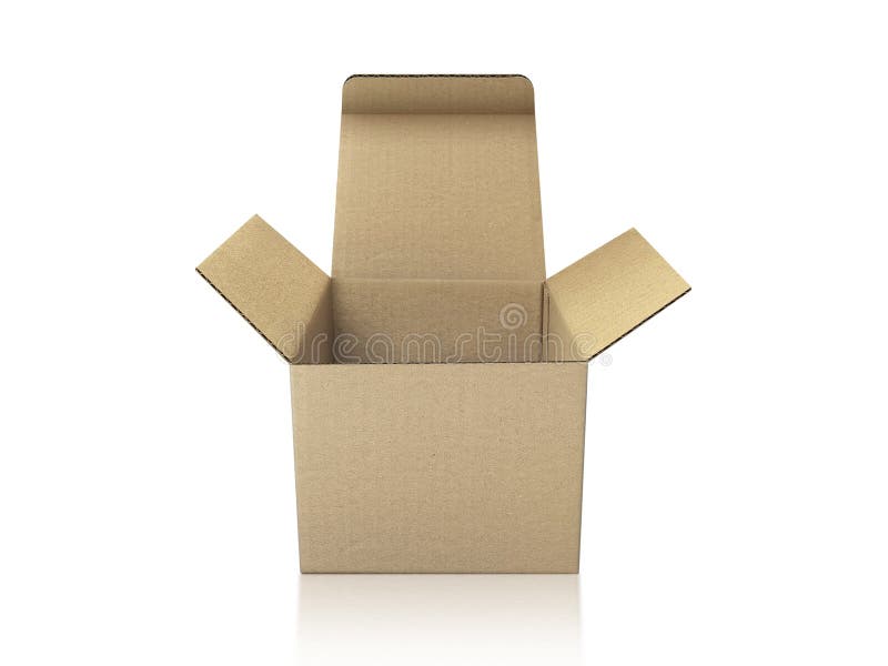 Rectangular Cardboard Box in Female Hands. Top View, White Background ...