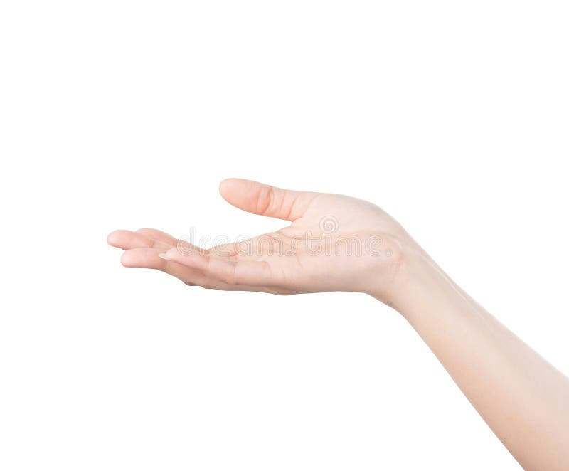 Empty Open Woman Hand on White Background Stock Image - Image of ...