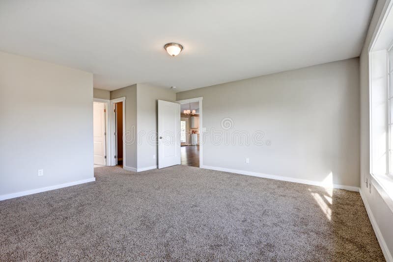 Empty Pale Grey Room Interior with Carpet Floor. Stock Image - Image of ...