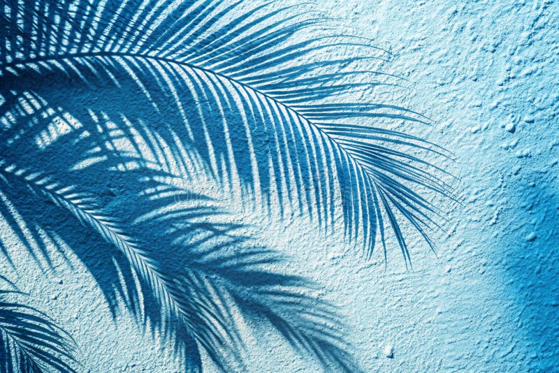 Empty Palm Shadow Blue Cement Wall Texture Pattern Stock Illustration ...