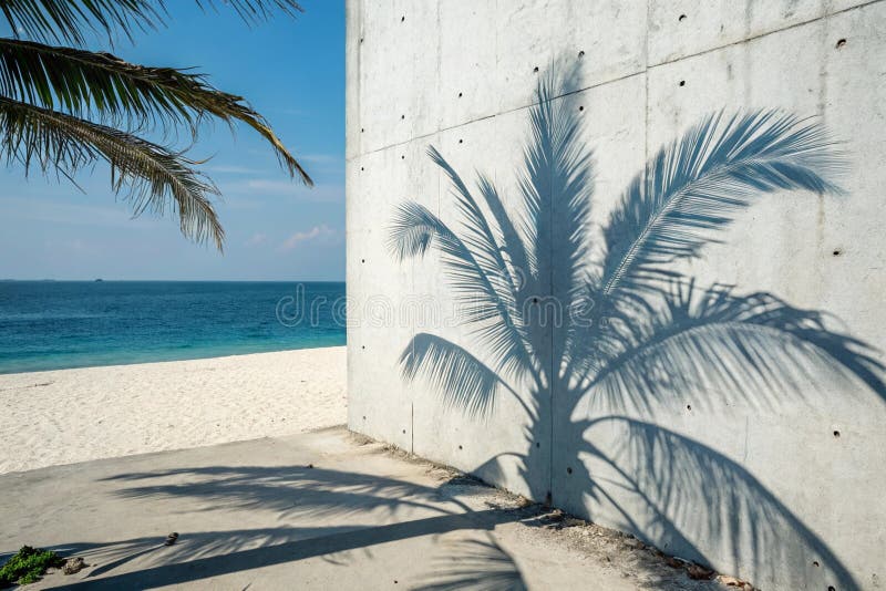 Empty Palm Shadow on Blue Textured Cement Wall Stock Illustration ...