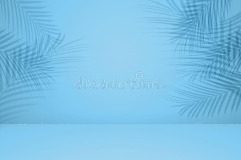 Empty Palm Shadow Texture Pattern Cement on Blue Wall Background Summer ...