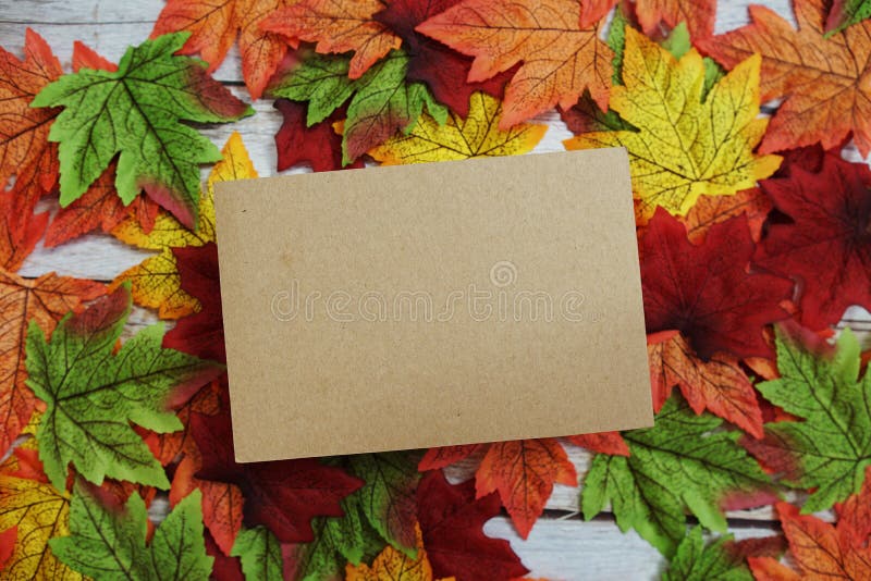 Empty Paper Card Mockup Top View on Maple Leaves Stock Photo - Image of ...