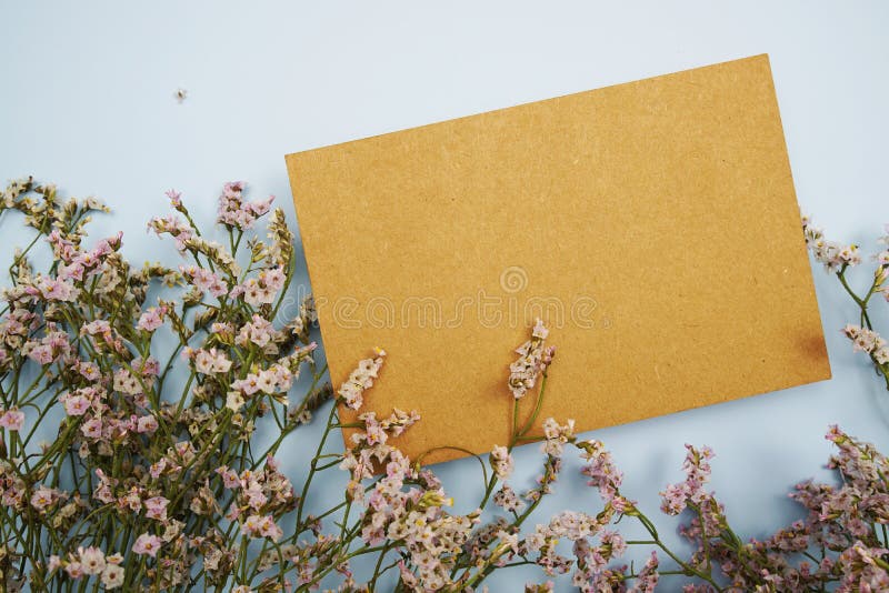 Empty Paper Card Space for Copy and Flower on Blue Background Stock ...