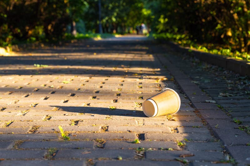 A Paper Cup Lies in the Green Grass Stock Image - Image of green ...