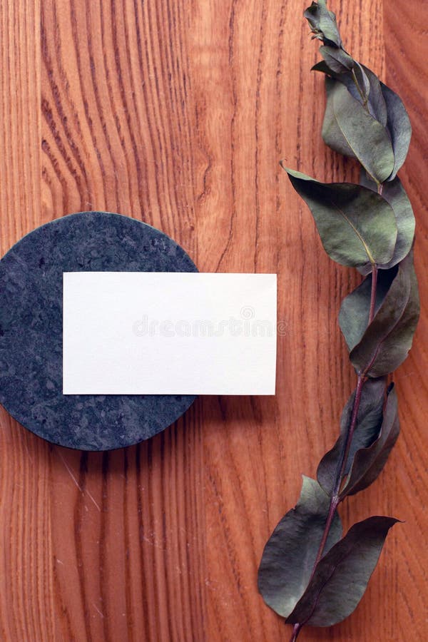 Empty Paper Mockup, Simple Sheet of Paper Template Stock Photo - Image ...