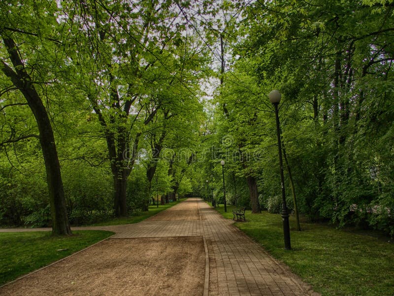 Empty park alley stock image. Image of walk, spring, alley - 89129875