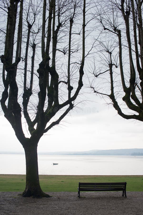 Empty Park Along the Coastline in Winter. Bench with No People Stock ...