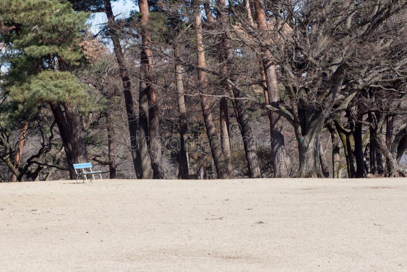 Empty park in the autumn stock image. Image of japan - 91636983