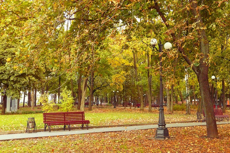 Empty park in Autumn stock image. Image of landscape - 92071541