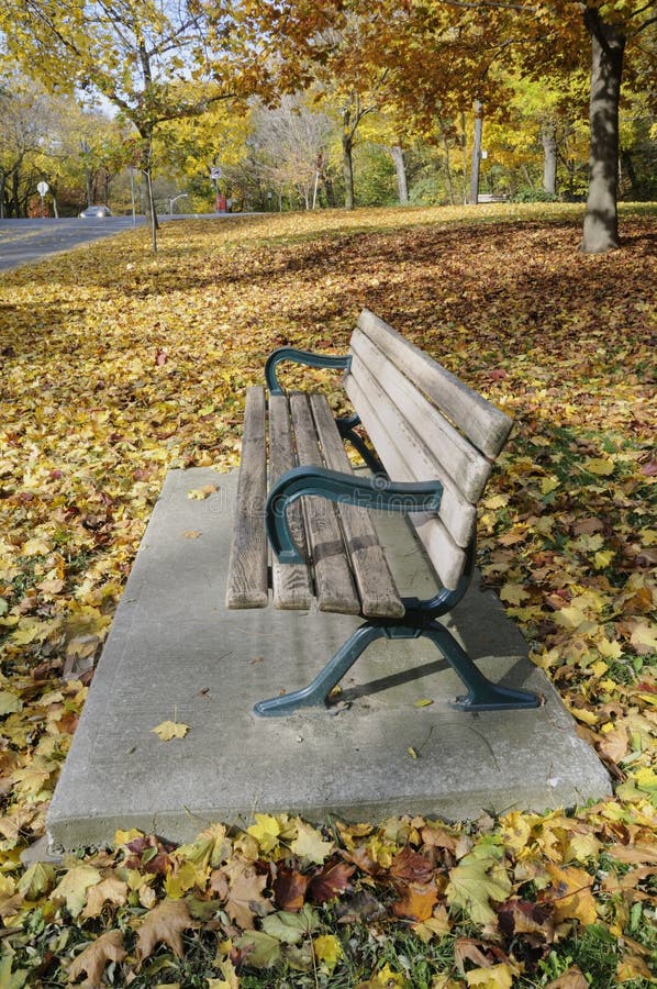 Empty park bench stock image. Image of beautiful, bench - 12307055