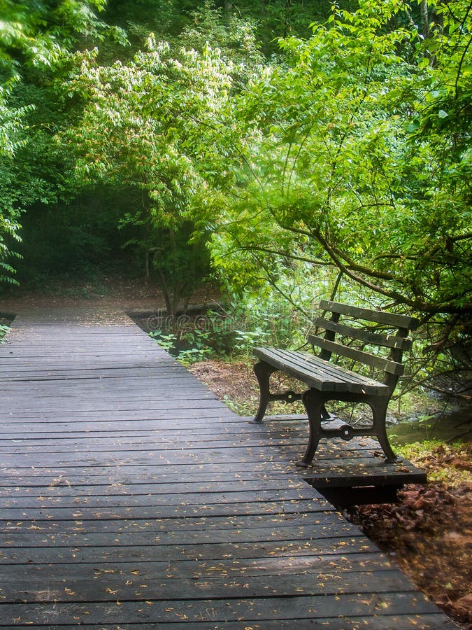 Empty Park Bench Along Wooden Pathway in Summer Stock Image - Image of ...