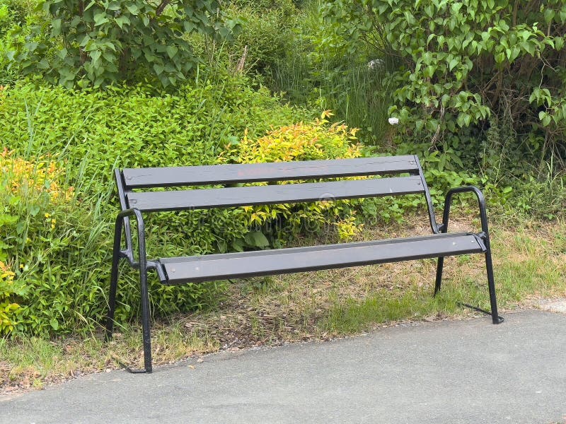 Empty Park Bench Amidst Lush Greenery in Tranquil Outdoor Setting Stock Image - Image of nature ...