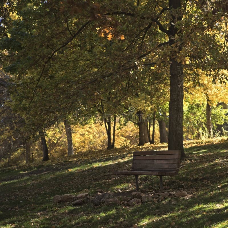 Empty Park Bench with Fall Colors Stock Photo - Image of fall, leaves ...