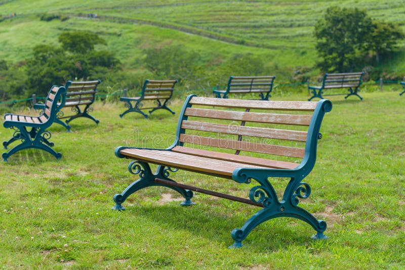 Empty Park Bench on Lawn in Lush Green Parkland in Summer Stock Photo ...