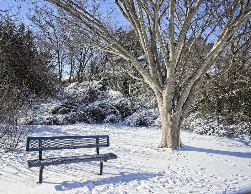 Winter bench stock image. Image of seat, forest, blue - 139571869