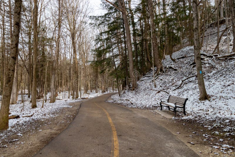 Empty Park Bench beside a Paved Trail Stock Photo - Image of path ...
