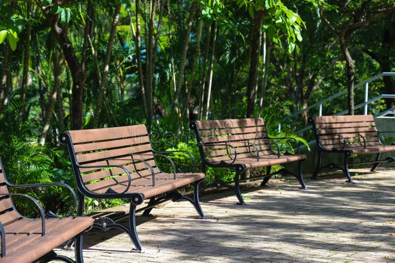An Empty Park Branch at the Park Stock Image - Image of serene, outdoor ...