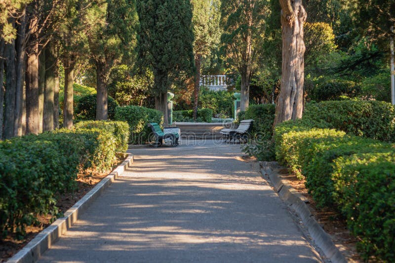 Empty Park with No People at Early Summer Morning Stock Image - Image ...
