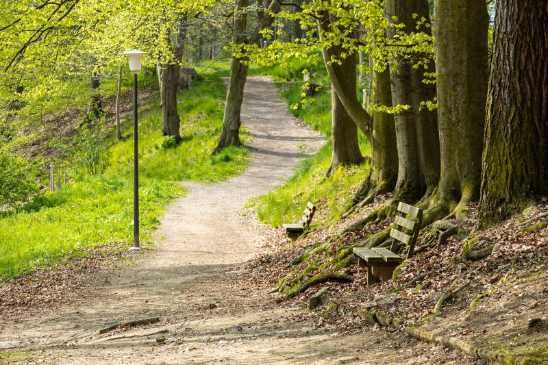 Empty Park with Path and Spring Trees Stock Image - Image of outdoor ...