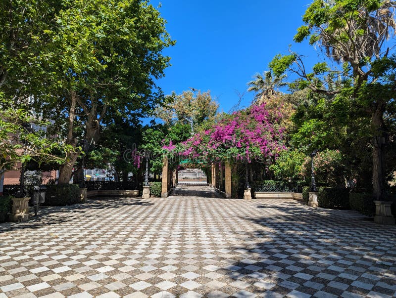 Empty Park Surrounded by Nature in Cadiz Stock Image - Image of leaf ...