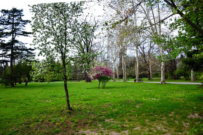 Empty park stock image. Image of construction, exterior - 102373309