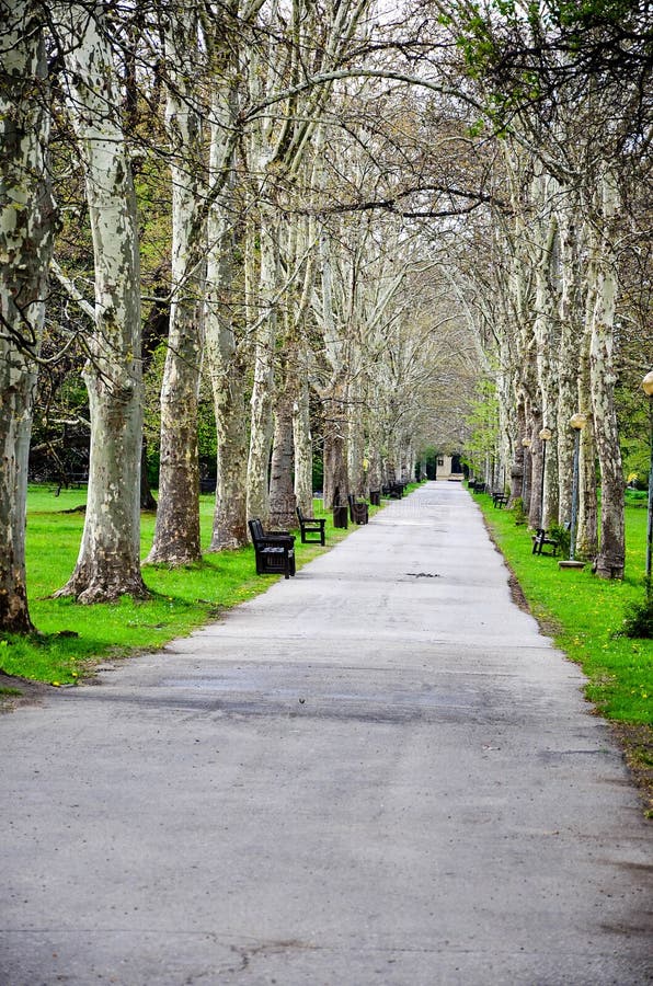 Empty park stock image. Image of construction, exterior - 102373309