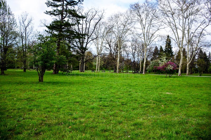 Empty park stock image. Image of construction, exterior - 102373309