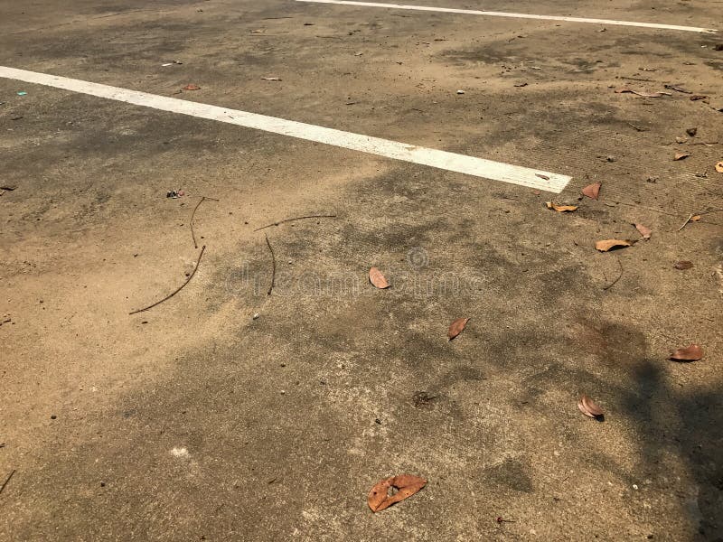Empty Parking Spot with White Line Stock Photo - Image of empty, lines ...