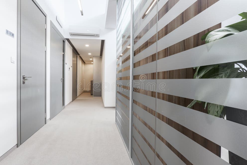Empty Passageway in Business Office Stock Image - Image of clean, plant ...